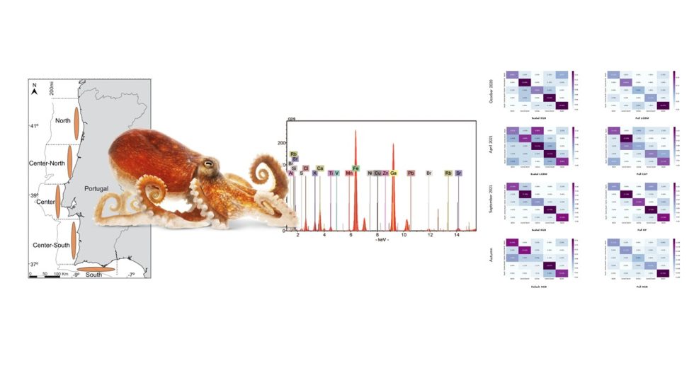 Nuno M. Rodrigues and Sara Silva research published in Food Control journal | LASIGE